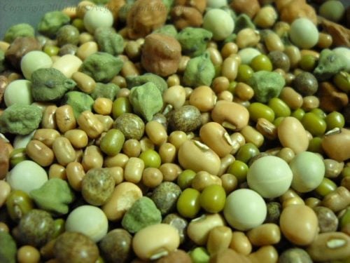 How To Make Mixed Sprouts - Dassana’s Veg Recipes