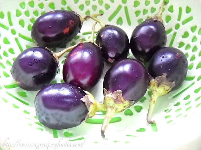 baingan vegetable in english