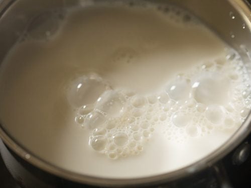 How To Make Curd (Dahi) | Indian Yogurt – Dassana’s Veg Recipes