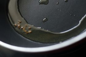 Colocasia Leaves Recipe | Alu Chi Bhaji | Alu Chi Patal Bhaji