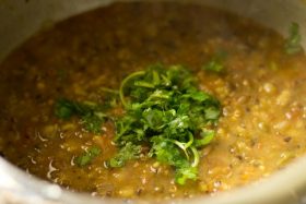 Green Moong Dal (Green Gram Curry) – Dassana’s Veg Recipes