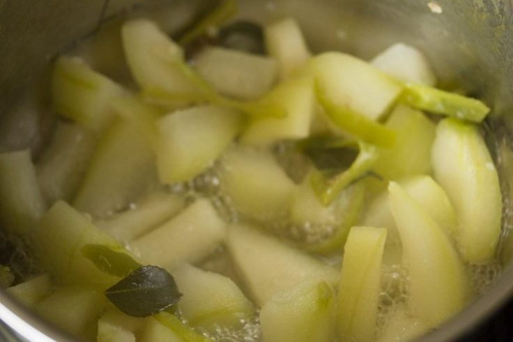 Olan Recipe | Kerala Olan Curry » Dassana's Veg Recipes - Doctor Woao