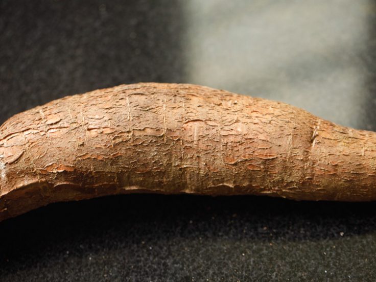 Kappa Puzhukku | Maravalli Kilangu Recipe (Mashed Tapioca Root ...