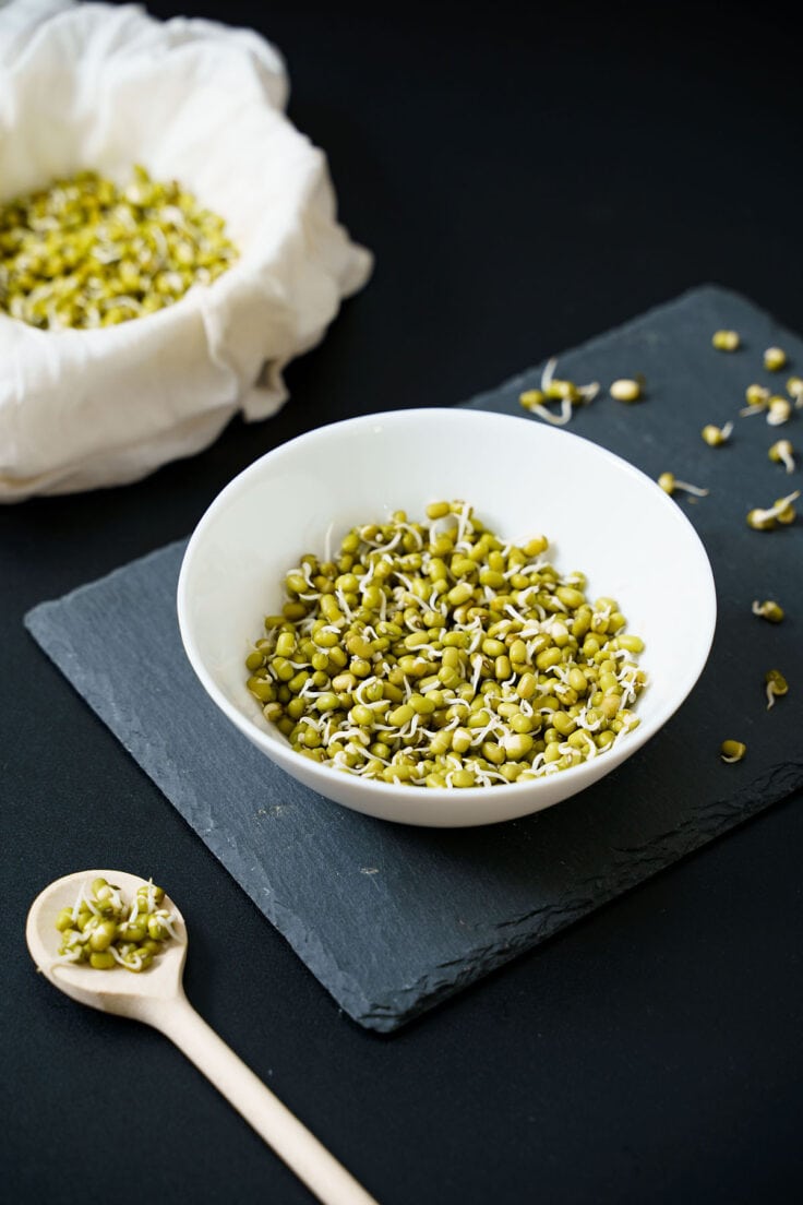 How to Sprout Mung Bean - Dassana’s Veg Recipes