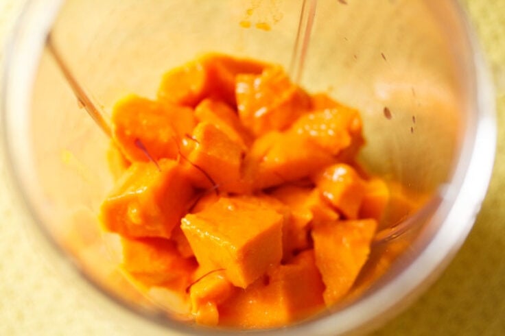 Mango Milkshake (Classic & Vegan Mango Shake) – Dassana’s Veg Recipes
